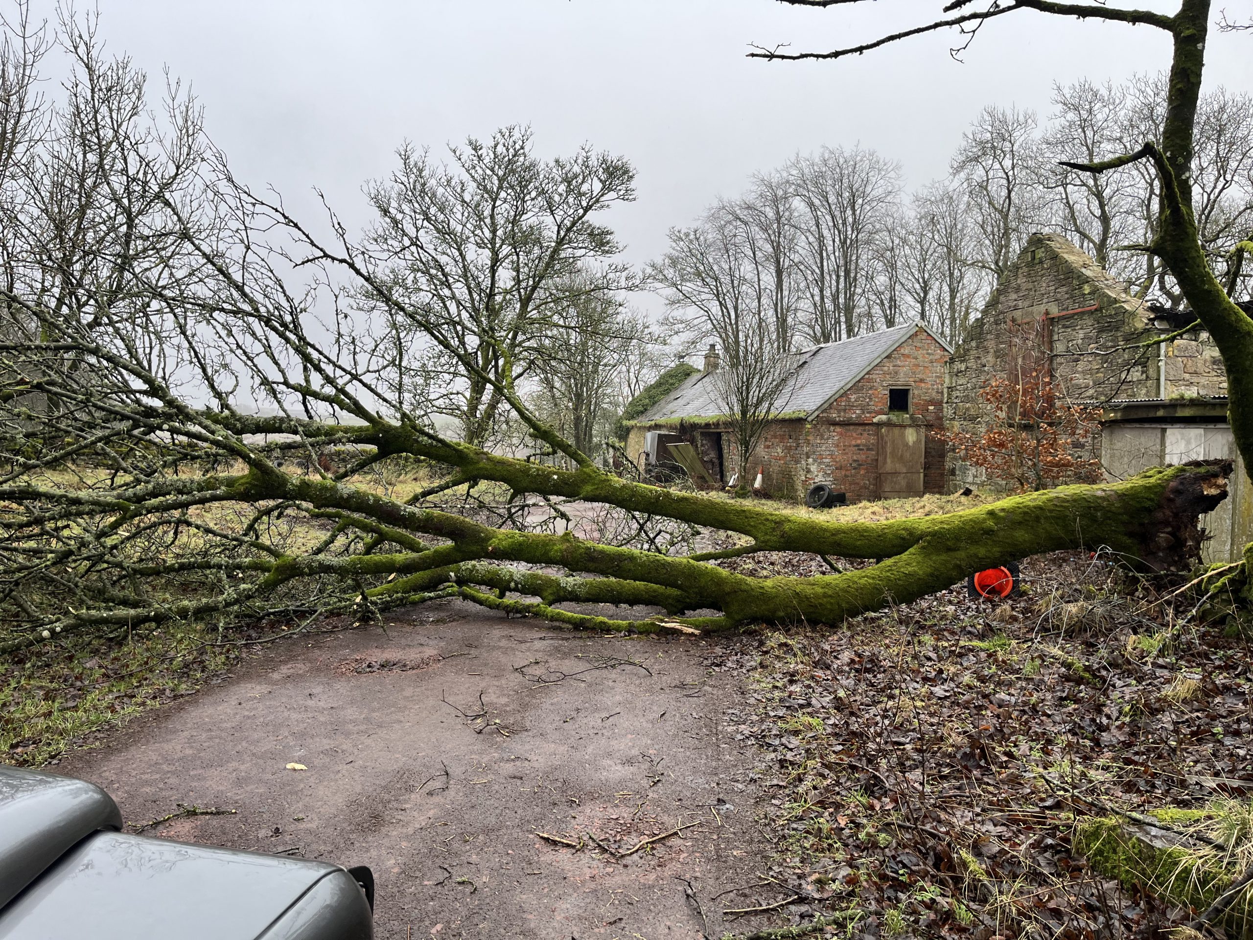 IMG_1357 – Don's Blog